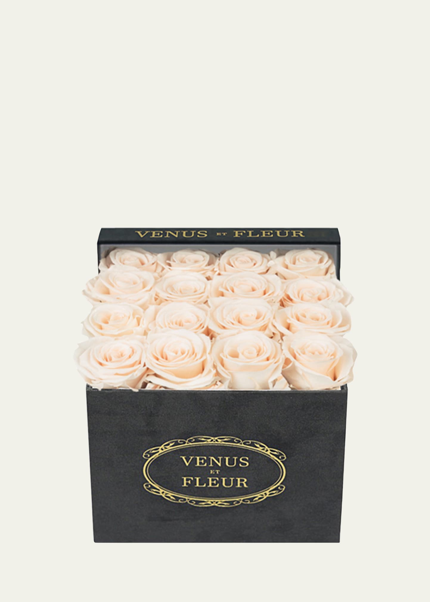 Venus Et Fleur Suede Small Square Rose Box In Blush | ModeSens