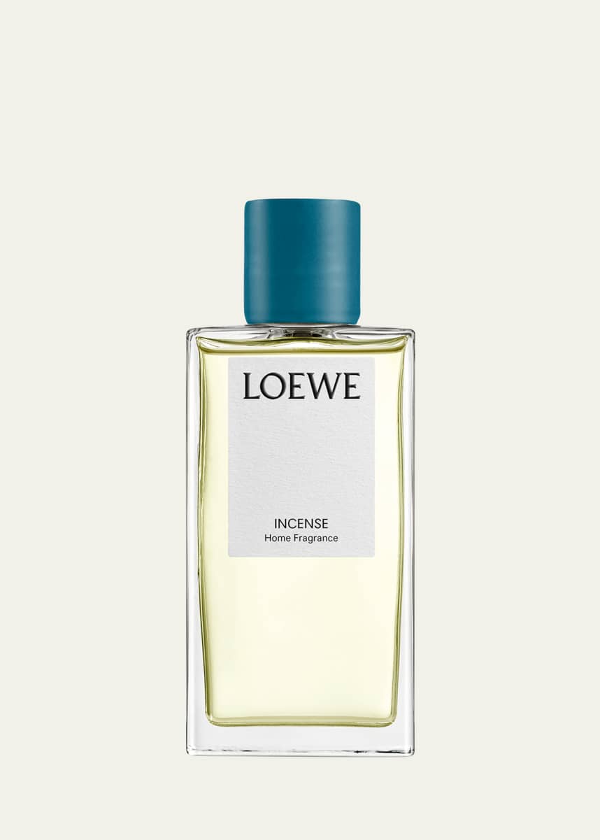 Loewe | Bergdorf Goodman