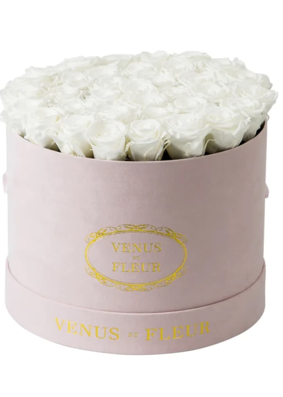 Venus ET Fleur Suede Large Round Rose Box - Bergdorf Goodman