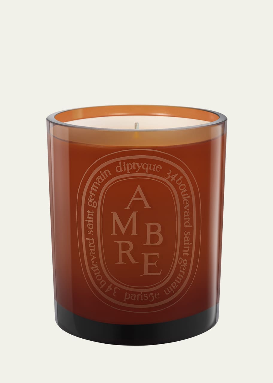 DIPTYQUE Ambre (Amber) Scented Candle, 10.2 oz. - Bergdorf Goodman