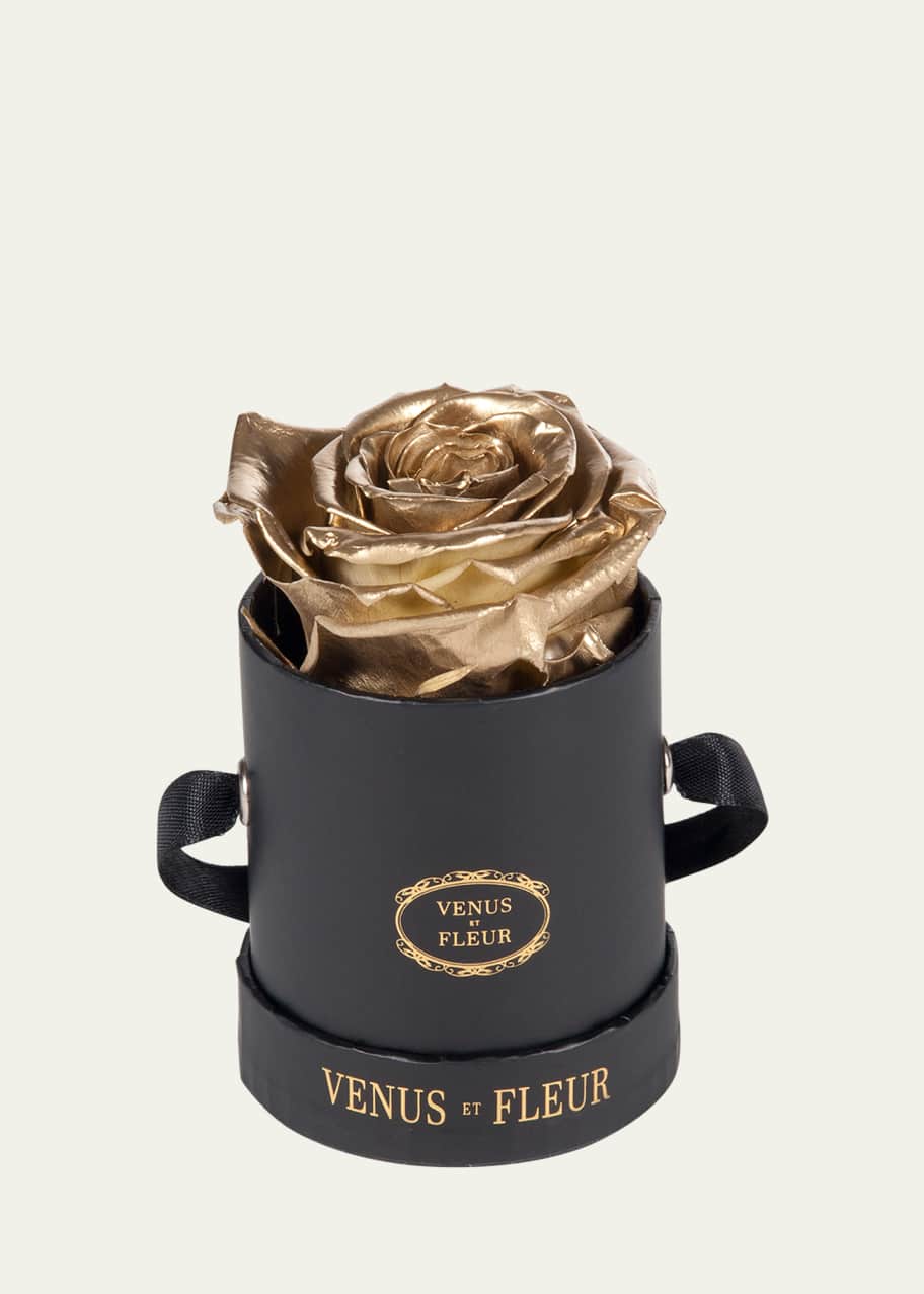 Venus ET Fleur Classic Mini Round Rose Box - Bergdorf Goodman