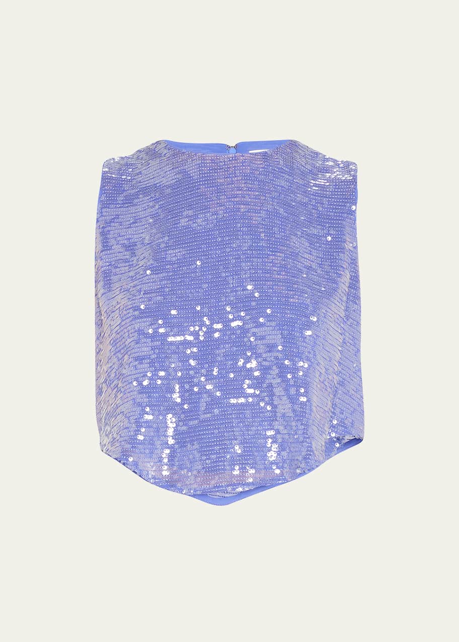 sequin embroidered top