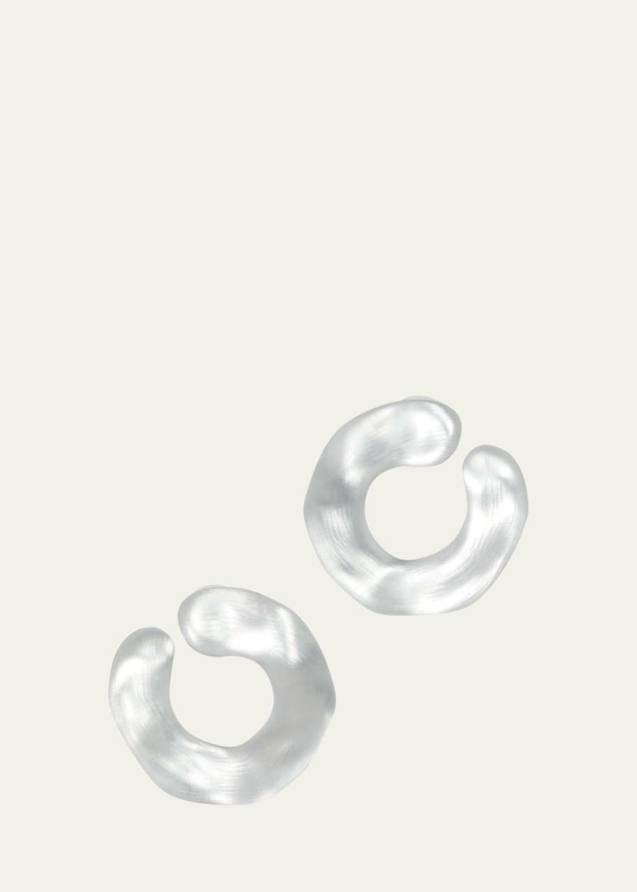 Alexis Bittar Lucite Large Front Facing Hoop Earrings - Bergdorf Goodman