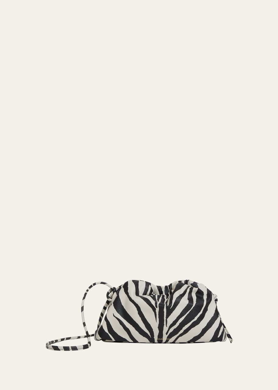 zebra pouch