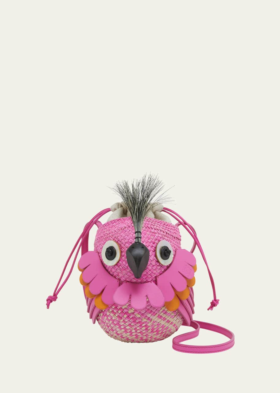 Loewe x Paula’s Ibiza Bird Bag in Iraca Palm with Leather Strap ...