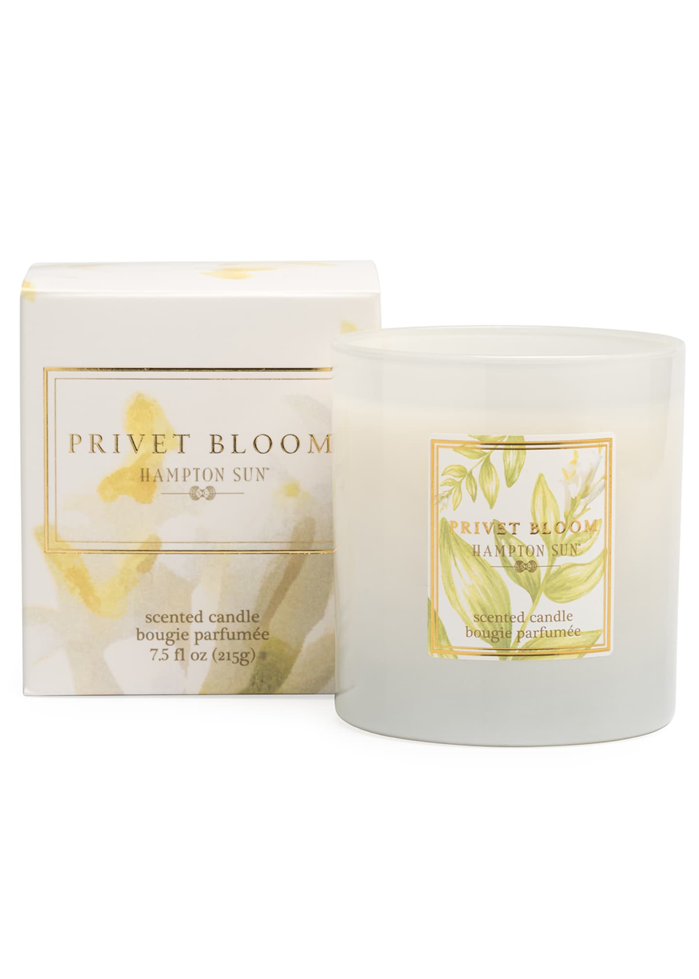 Hampton Sun 7.5 oz. Privet Bloom Scented Candle - Bergdorf Goodman