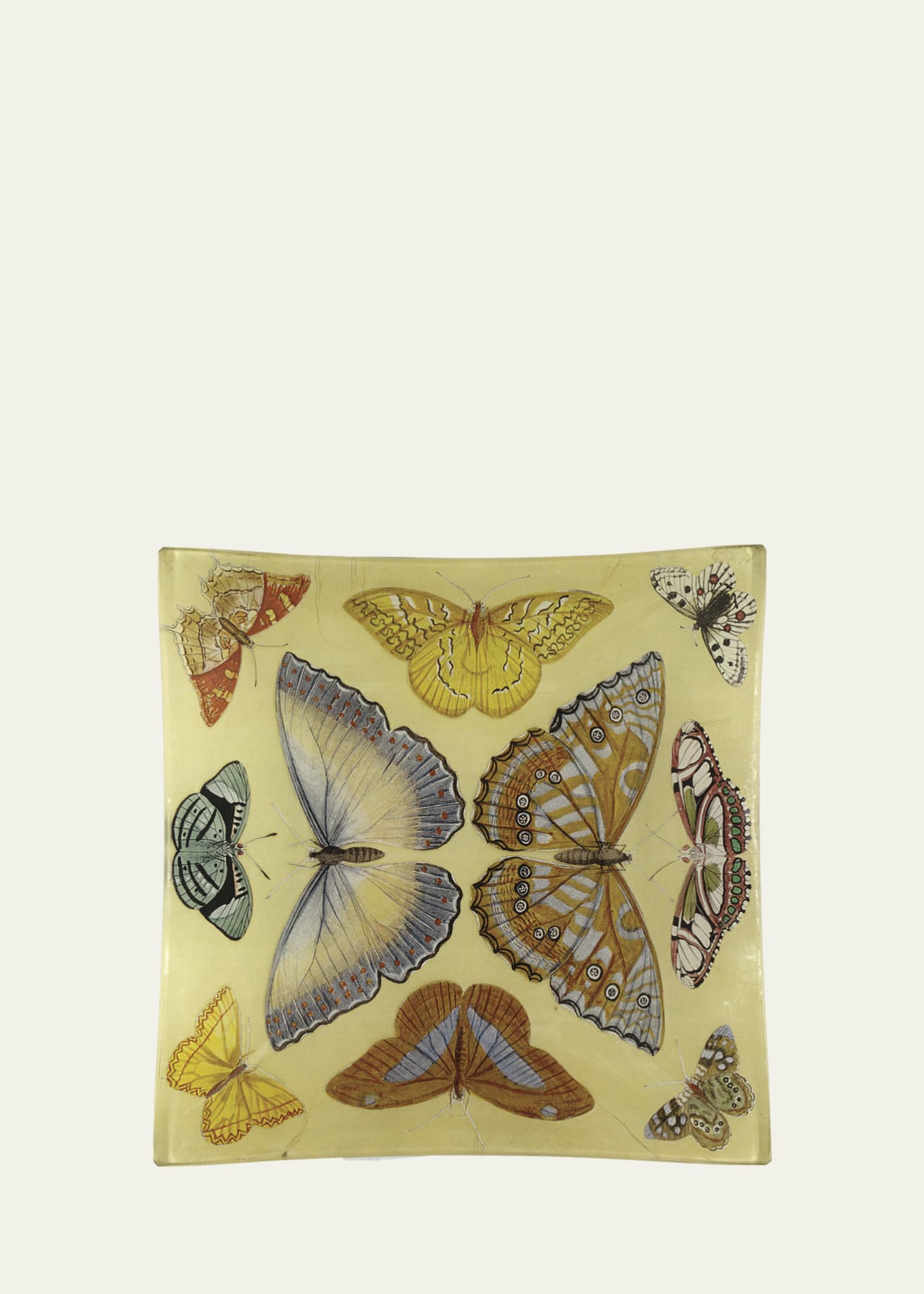 John Derian Butterfly Collection Square Tray - Bergdorf Goodman