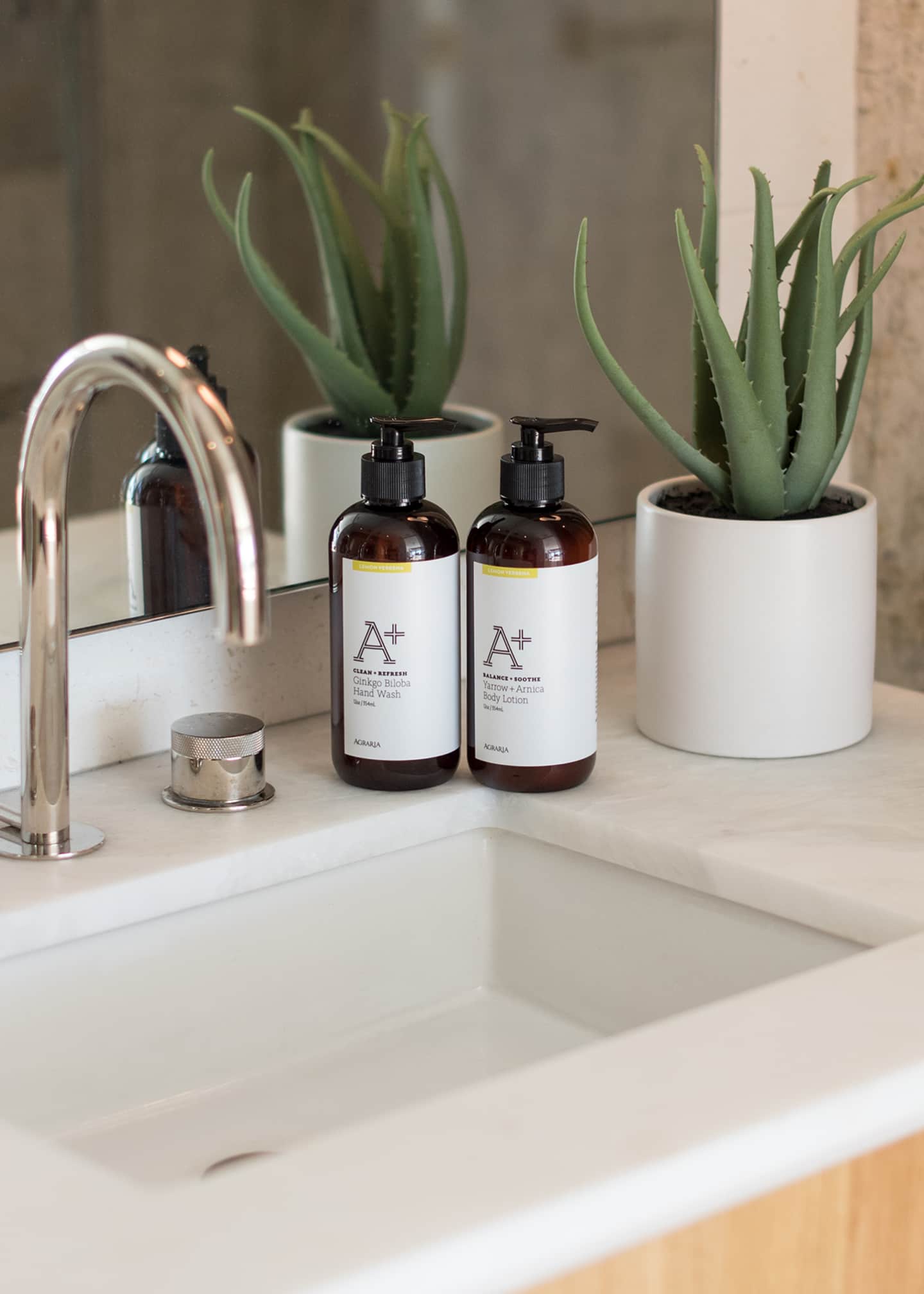 Agraria 12 oz. Lemon Verbena A+ Ginkgo Biloba Hand Wash - Bergdorf Goodman