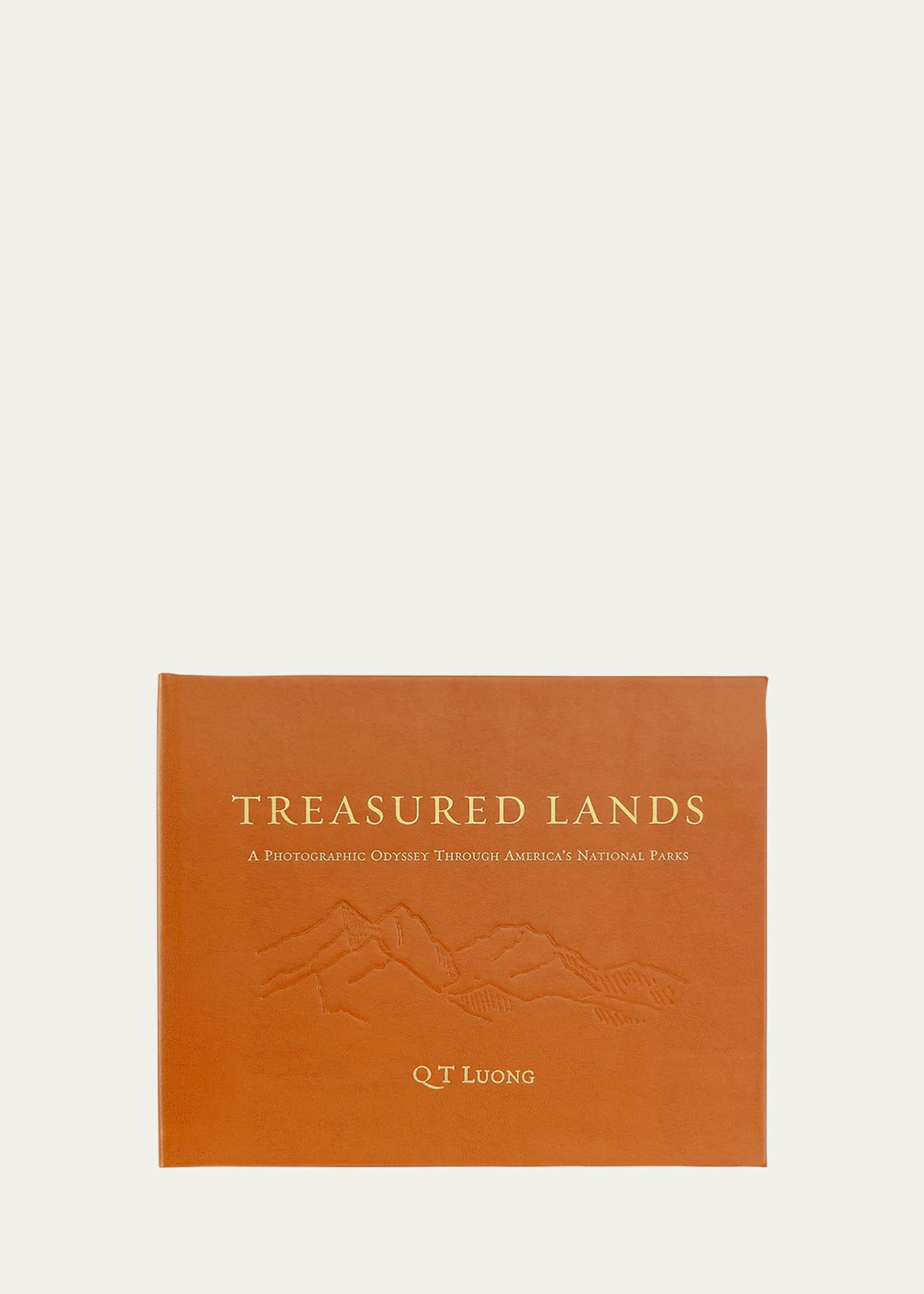 Graphic Image "Treasured Lands" Leather Bound Book - Bergdorf Goodman