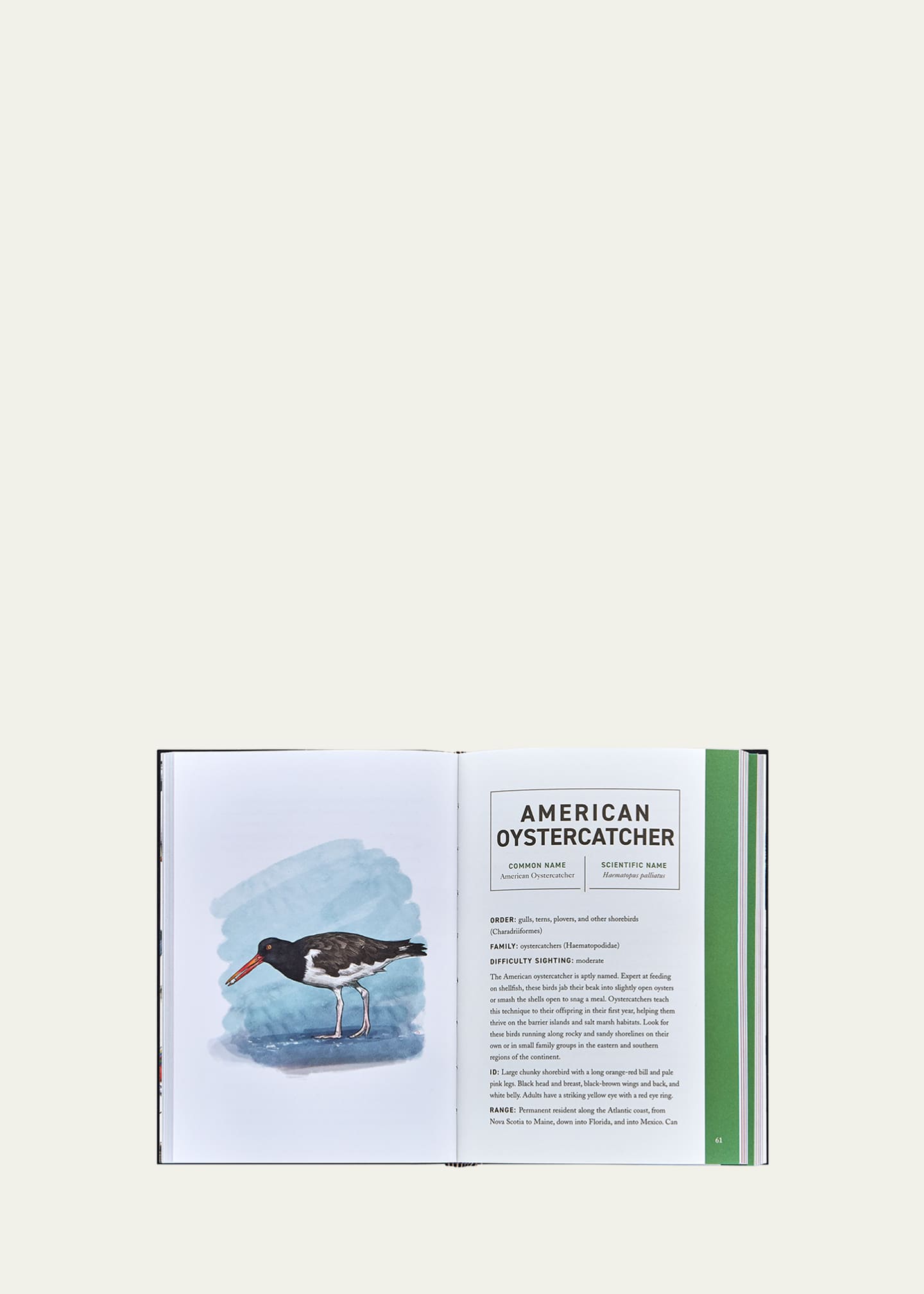 Graphic Image Birds: An Illustrated Field Guide Book - Bergdorf Goodman