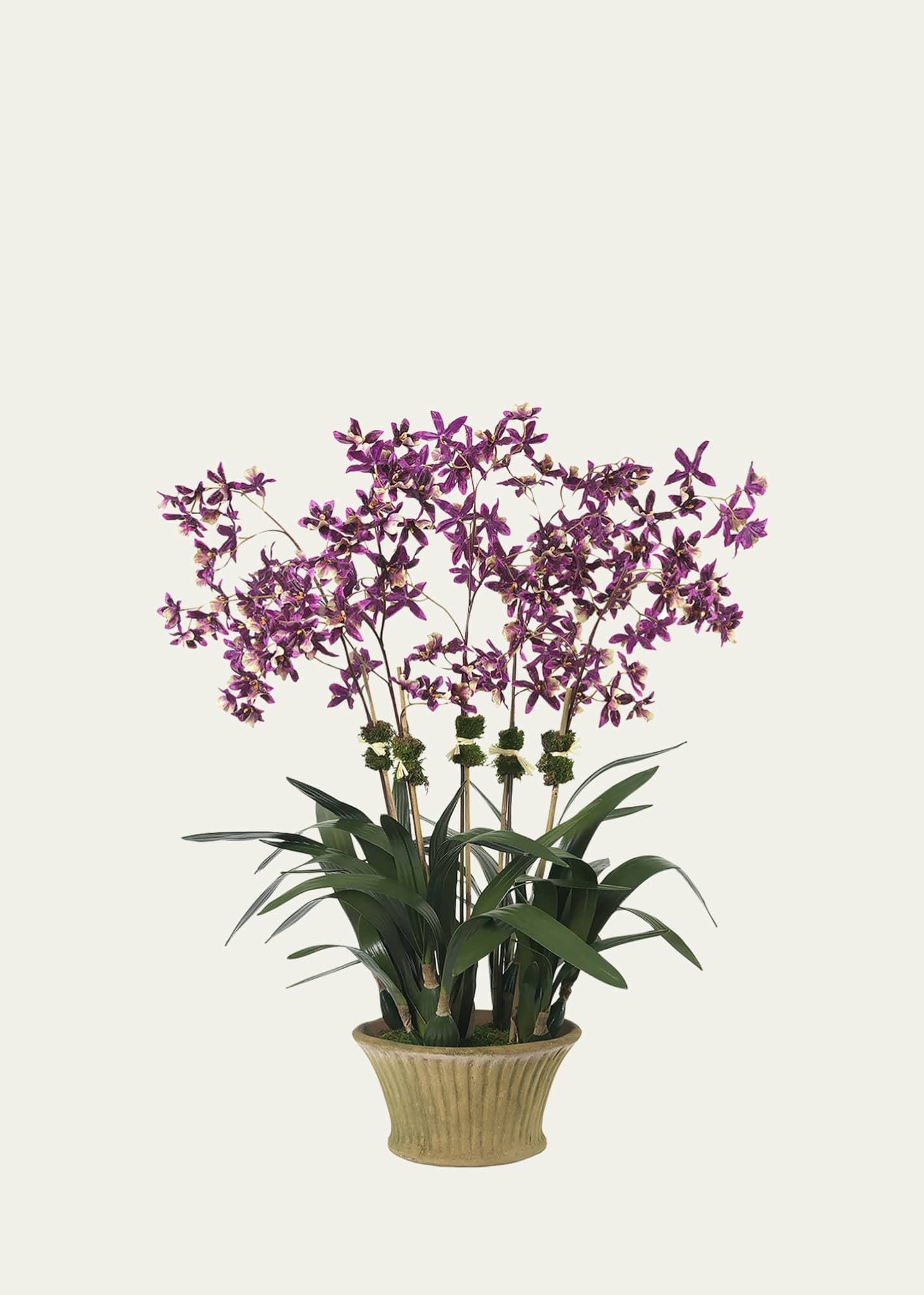 Diane James Purple Oncidium Orchid 5-Stem Arrangement In Moss Planter ...