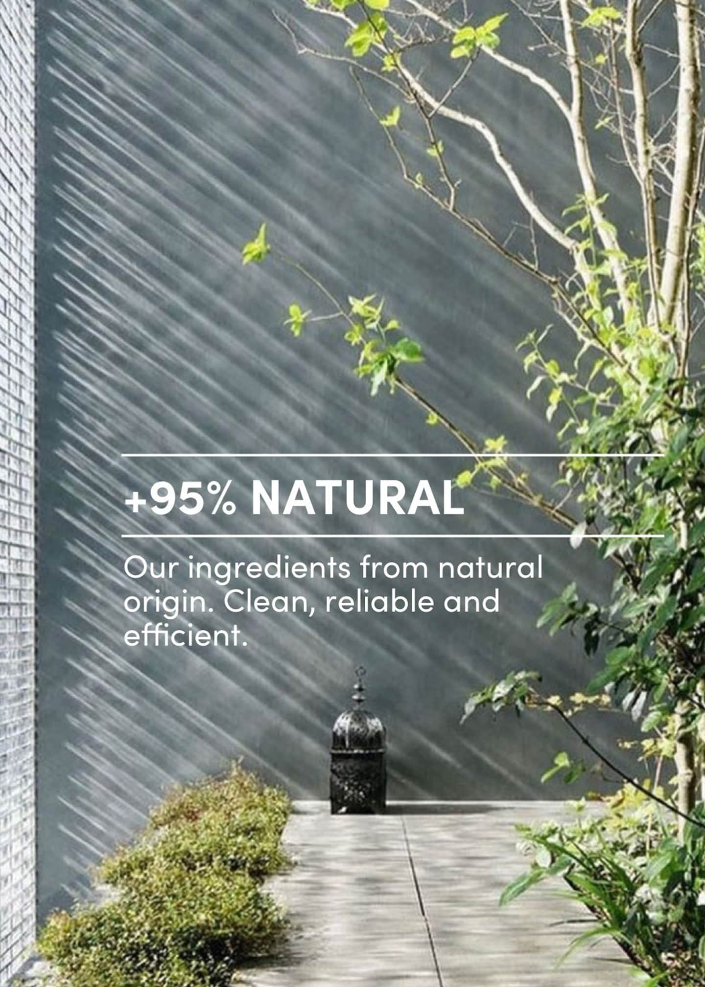 The Wolf Project 3.4 oz. Face Foaming Cleanser - Bergdorf Goodman