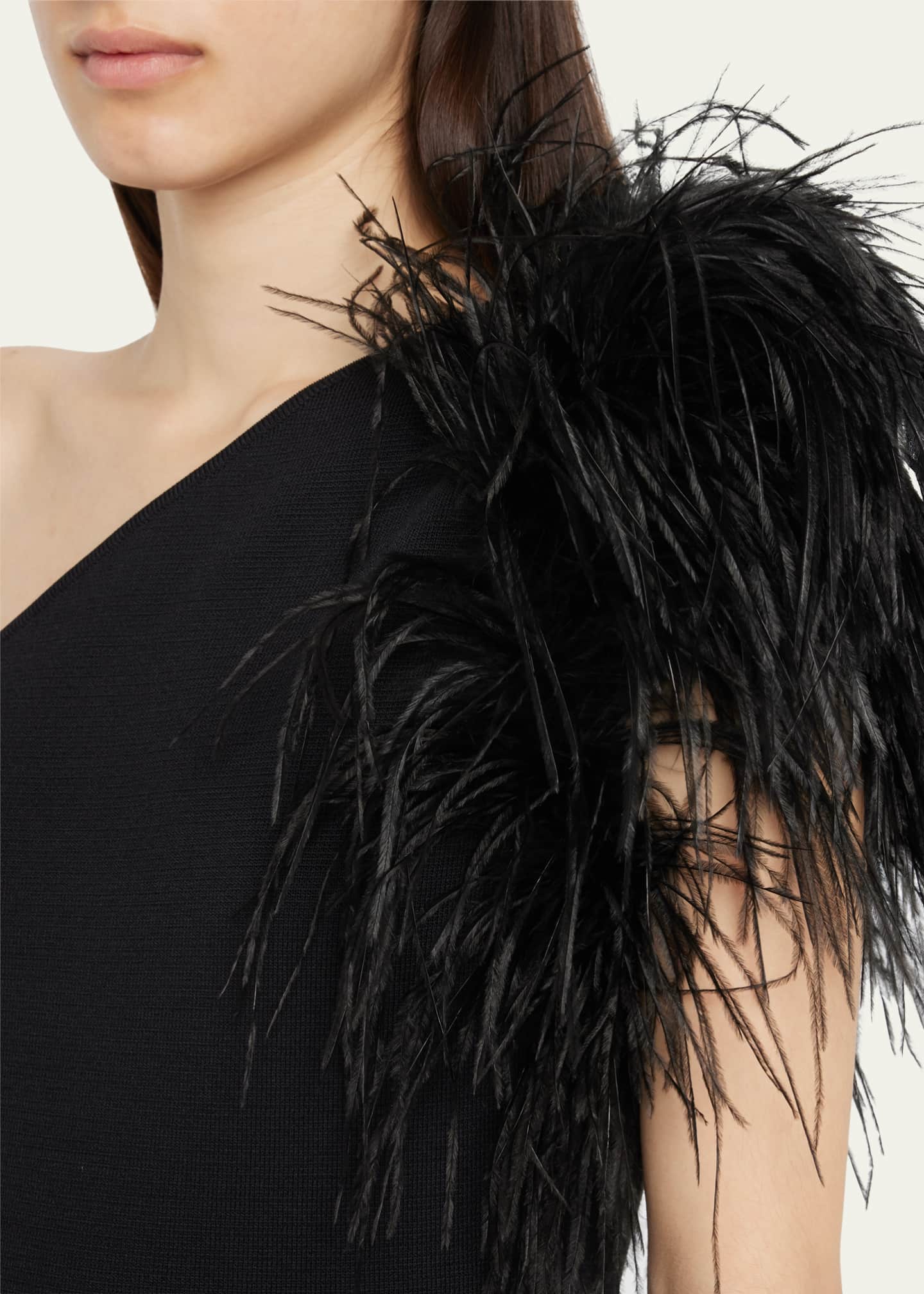 Rachel Gilbert Elcie One-Shoulder Column Gown with Feathers - Bergdorf ...