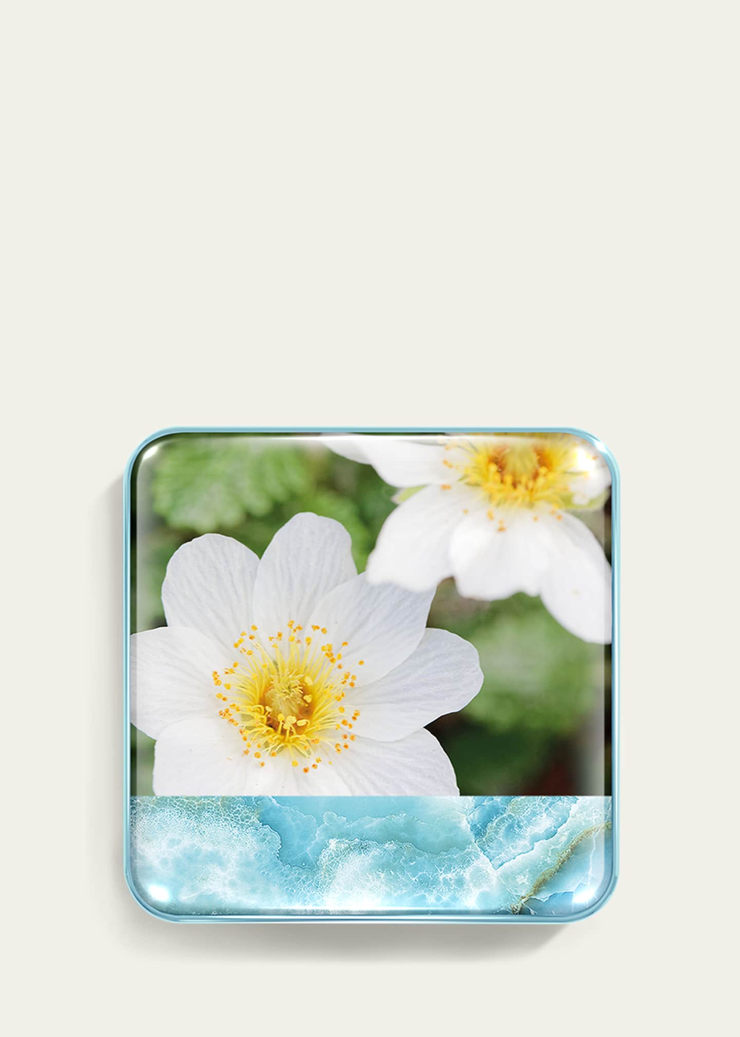 Chantecaille Limited Edition Wild Meadows Blush - Bergdorf Goodman