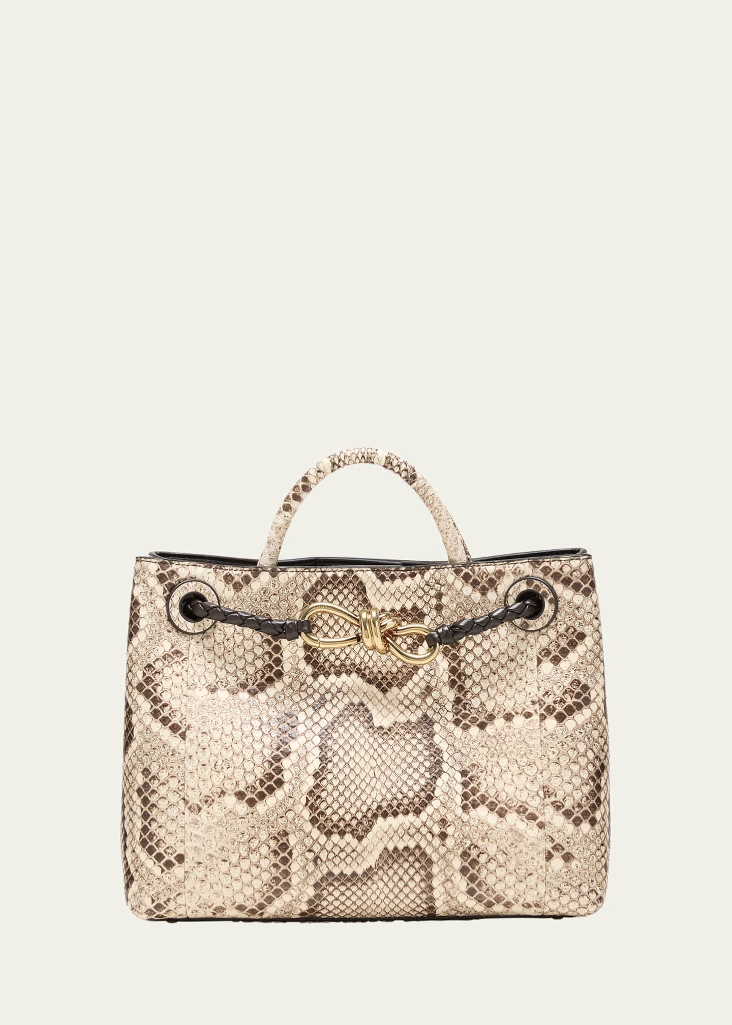 Bottega Veneta Small Andiamo Python Tote Bag - Bergdorf Goodman