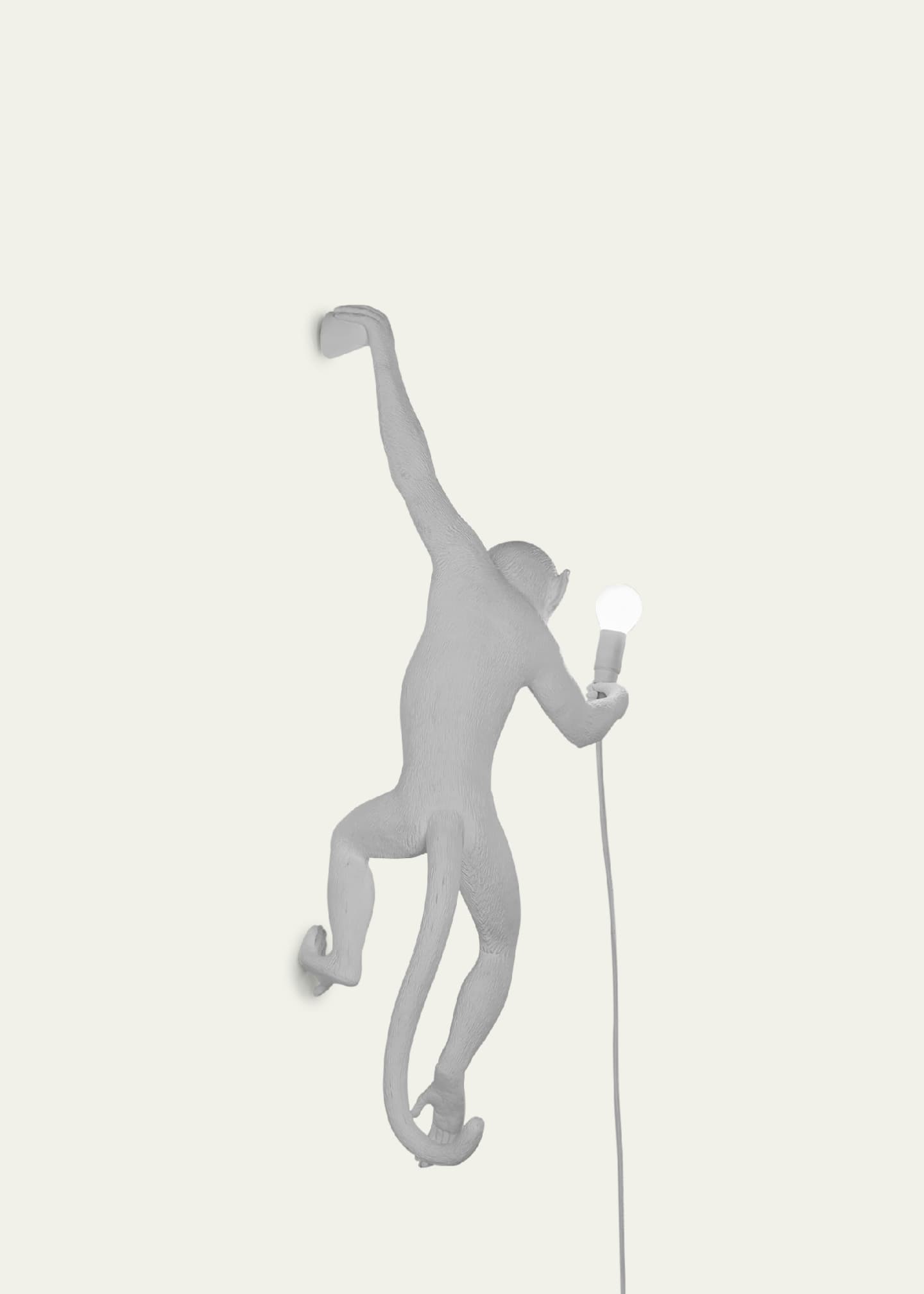 Seletti Monkey Outdoor Hanging Lamp - Bergdorf Goodman