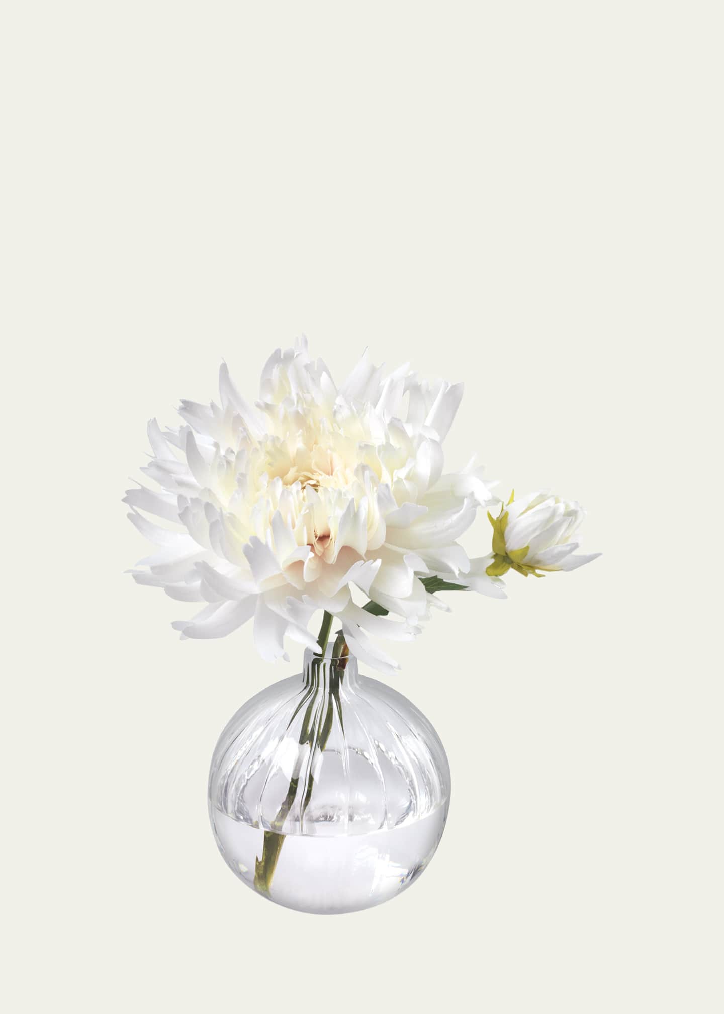 Diane James Cream Dahlia 10" Faux Floral Arrangement in a Ribbed Glass ...