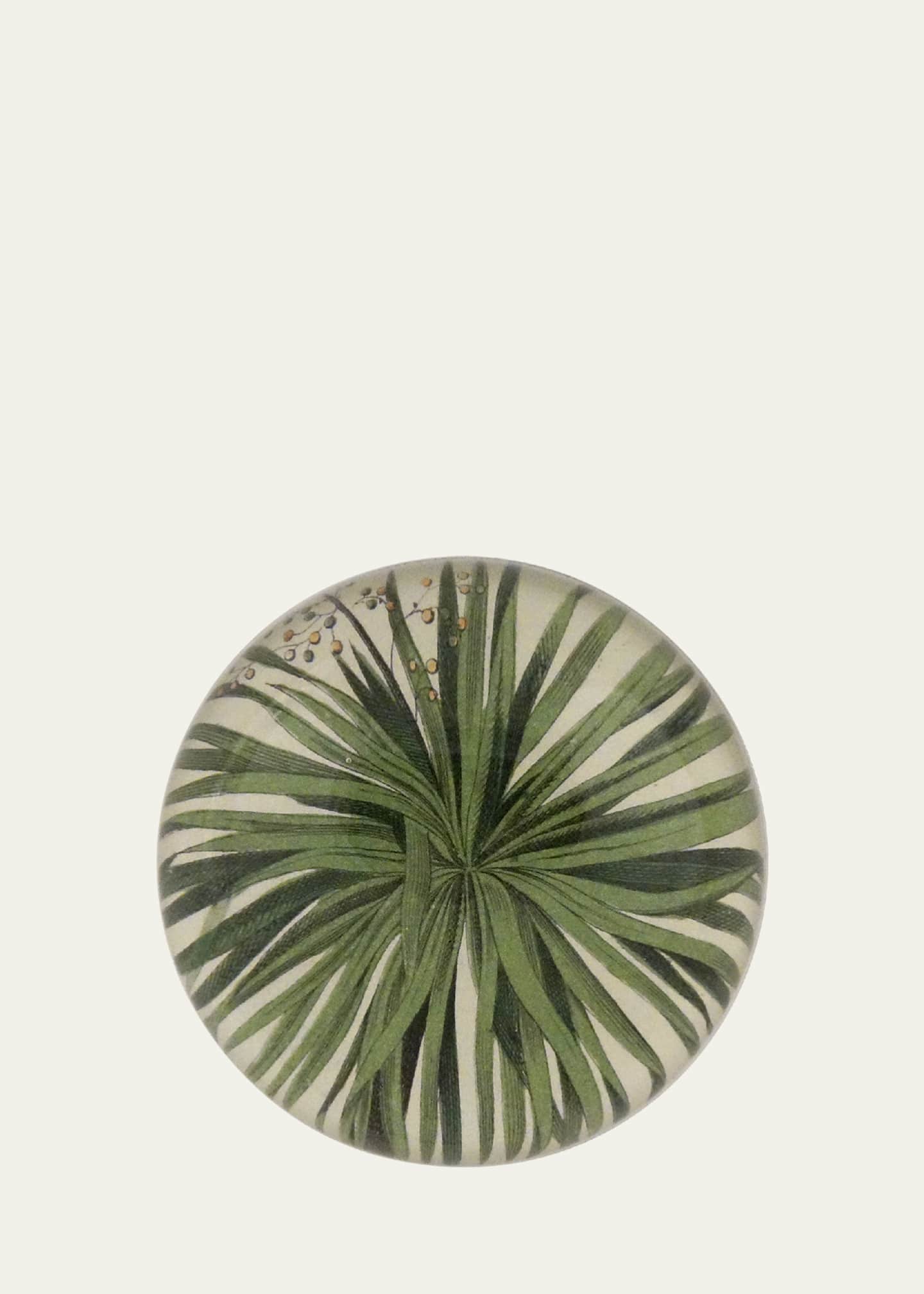 John Derian Palm Detail Dome Paperweight - Bergdorf Goodman