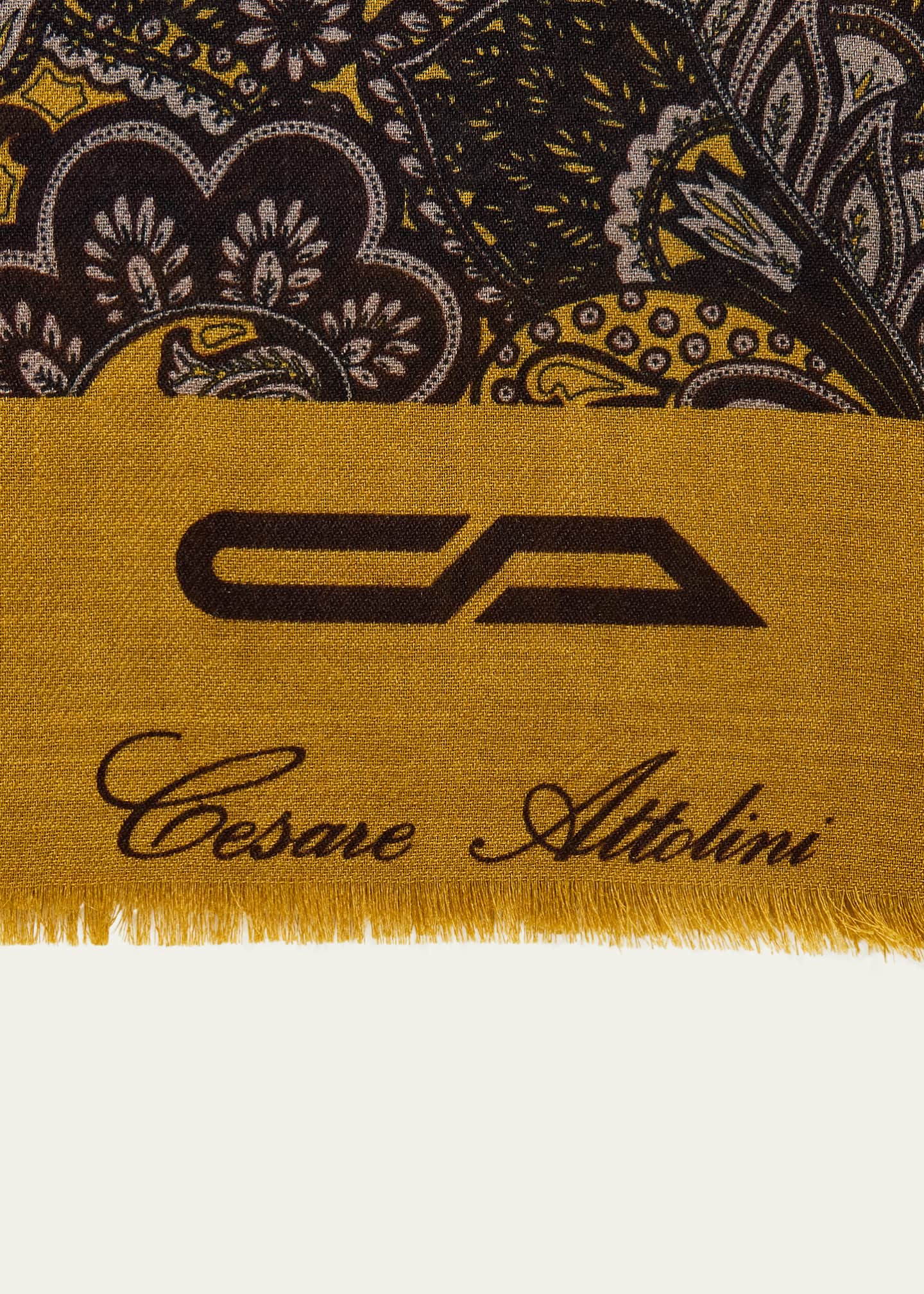 Cesare Attolini Men's Cashmere Paisley Scarf - Bergdorf Goodman