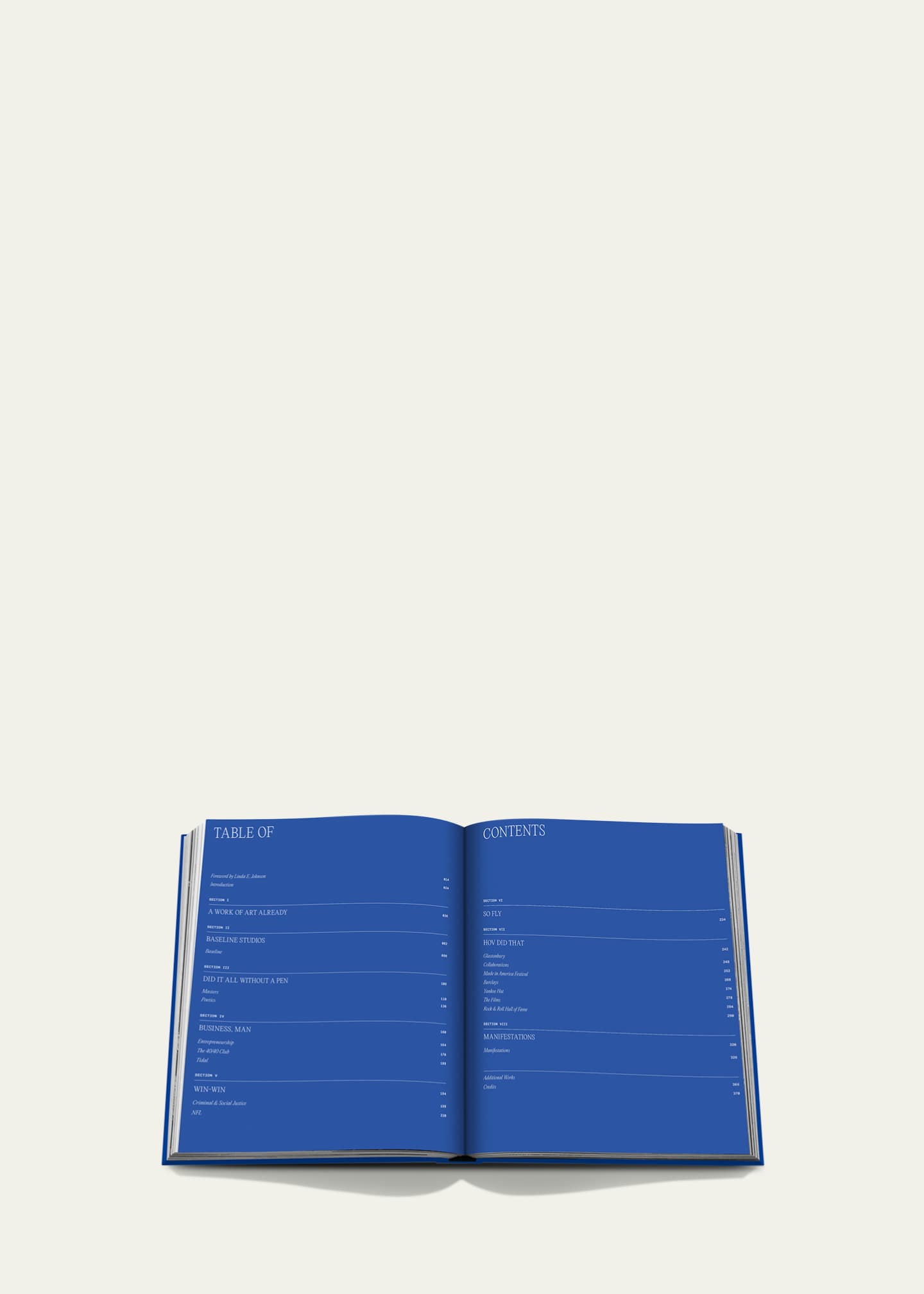 Assouline "The Book of HOV: A Tribute to Jay-Z (Classic)" Book ...