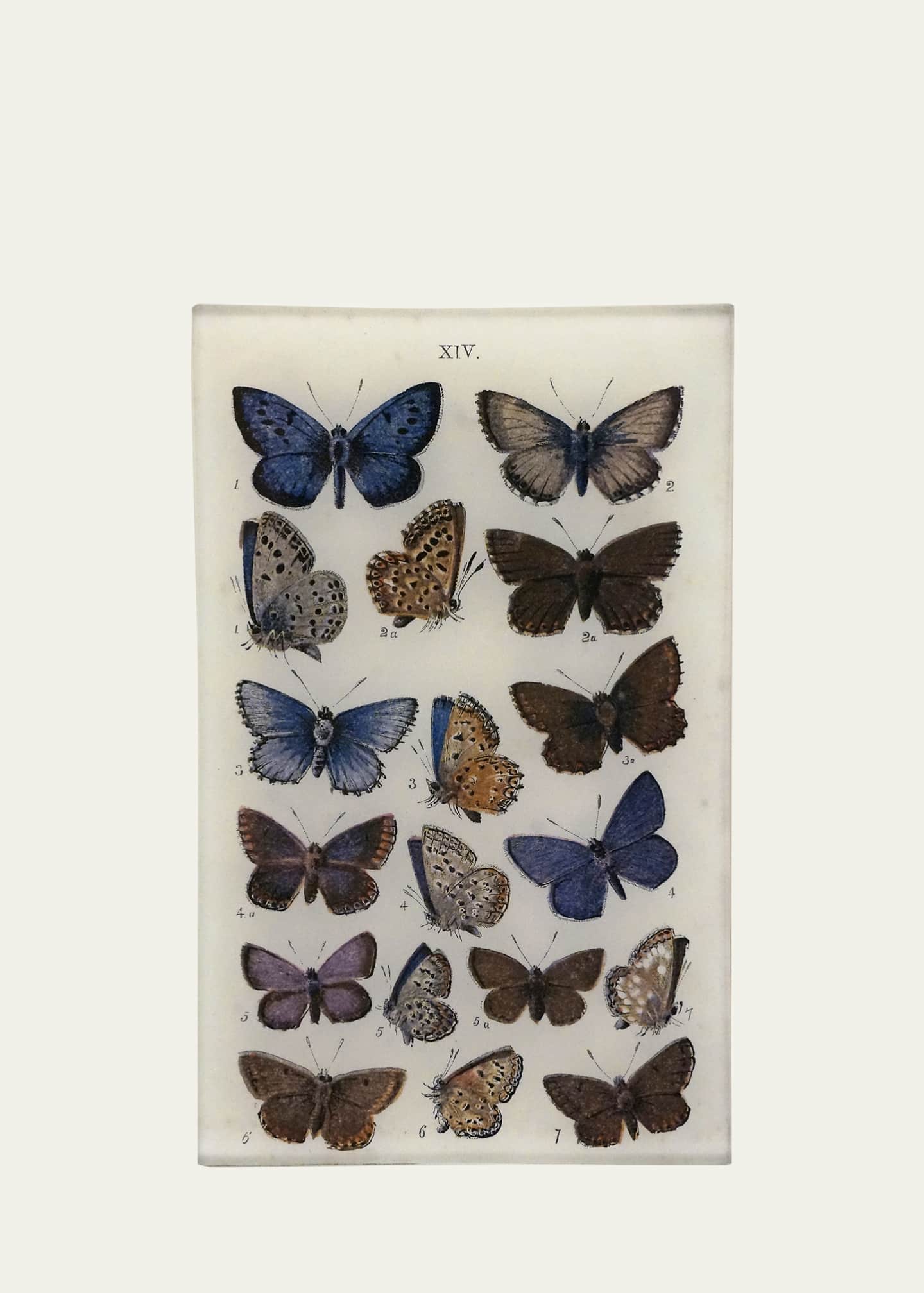 John Derian Butterflies XIV Cell Phone Tray, 5" x 8" - Bergdorf Goodman