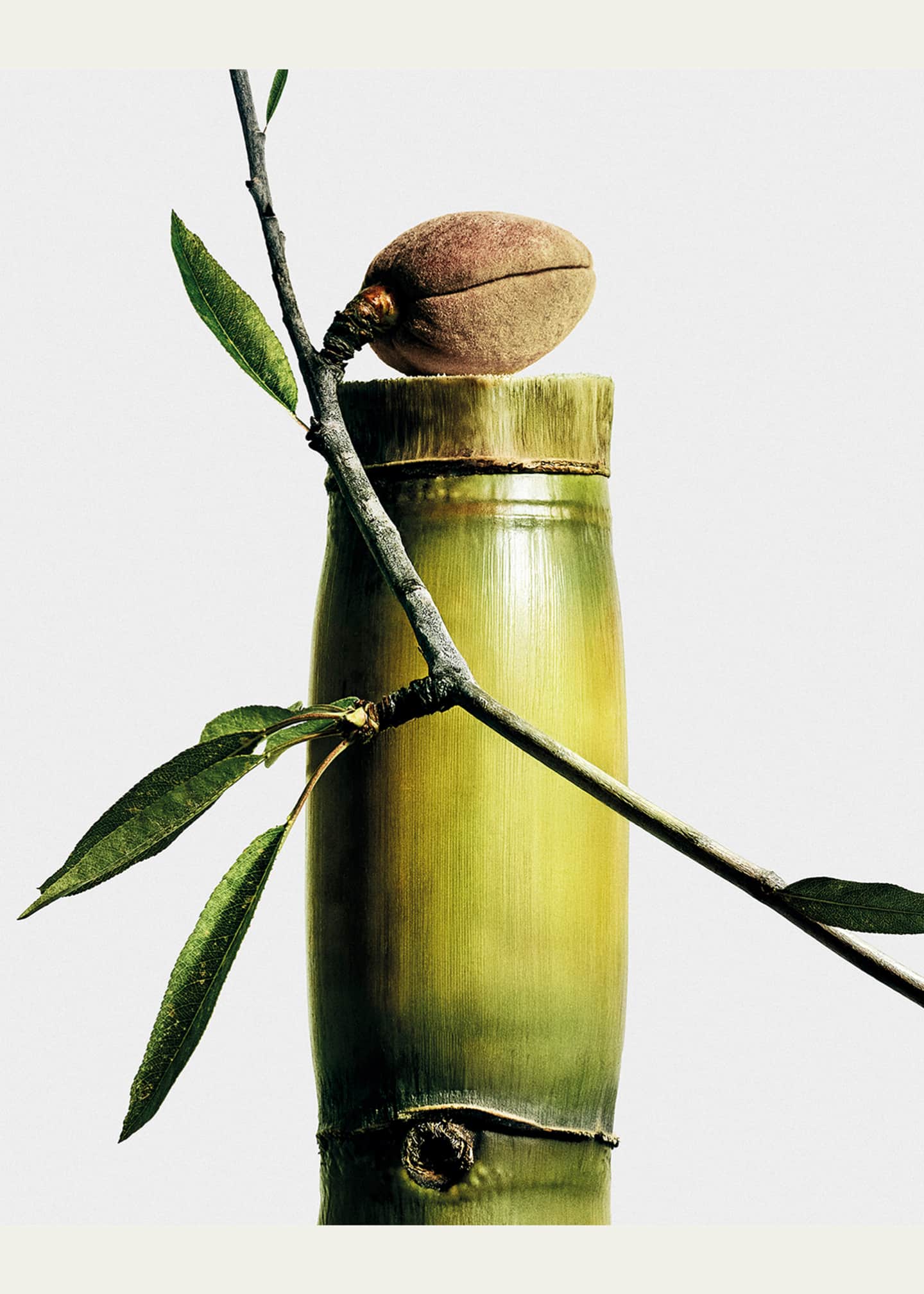 Loewe LOEWE Sweet Almond Midi Scented Candle - Bergdorf Goodman