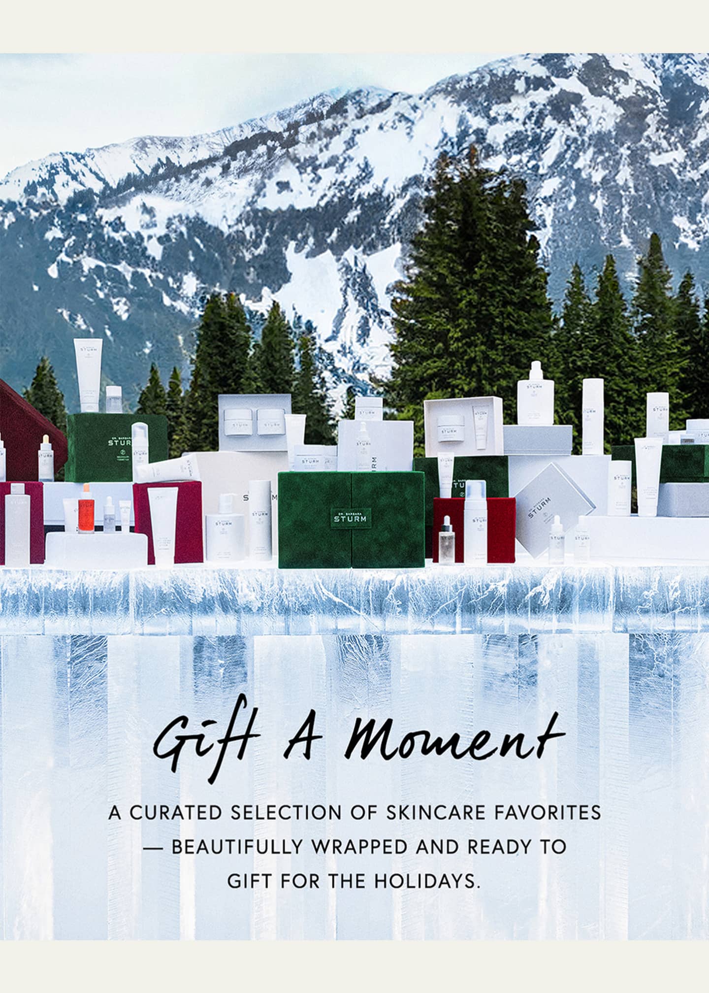 Dr. Barbara Sturm The Winter Kit - Advent Calendar (a $1,863 Value ...