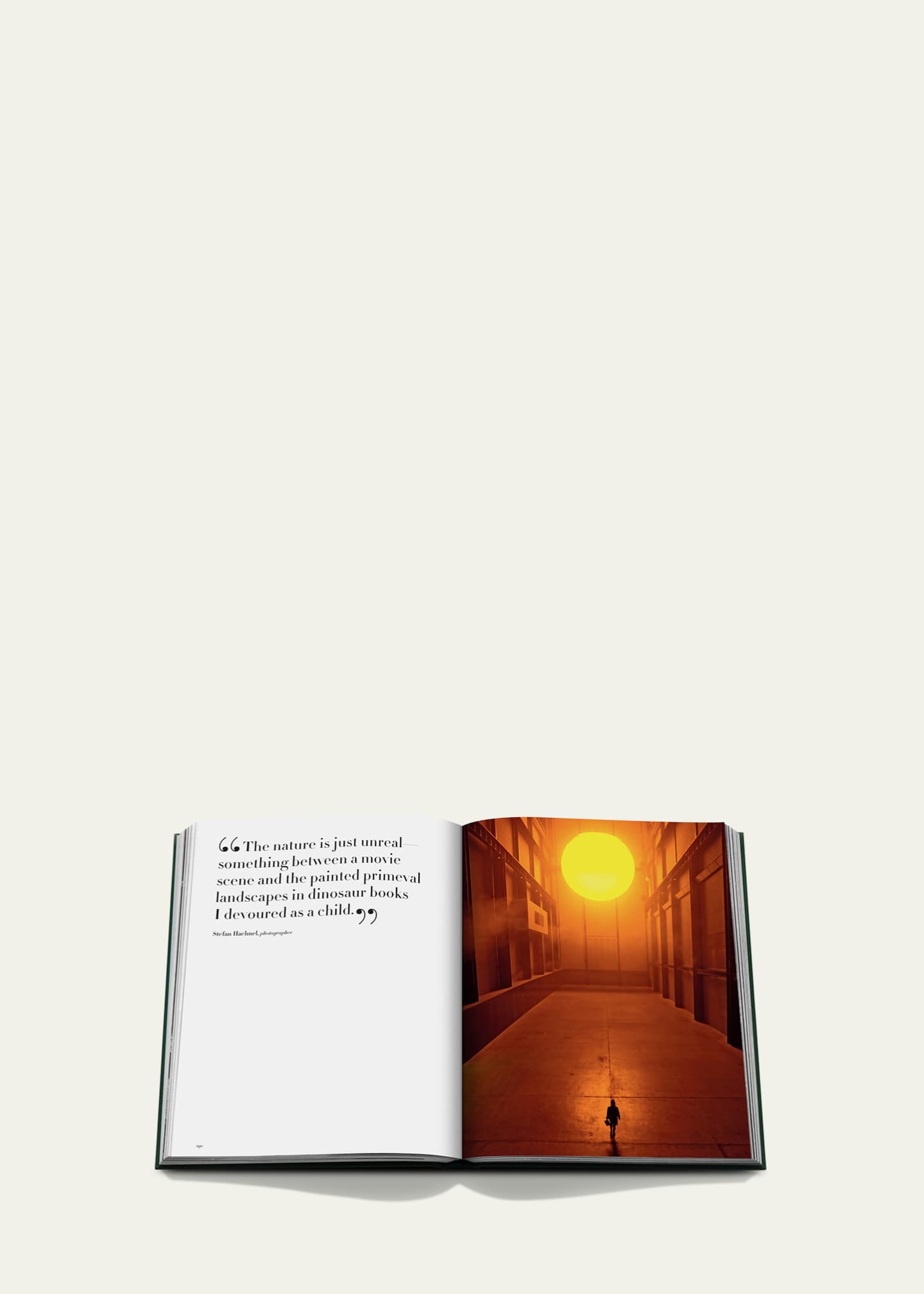 Assouline "Iceland Epic" Book by Erika Owen - Bergdorf Goodman