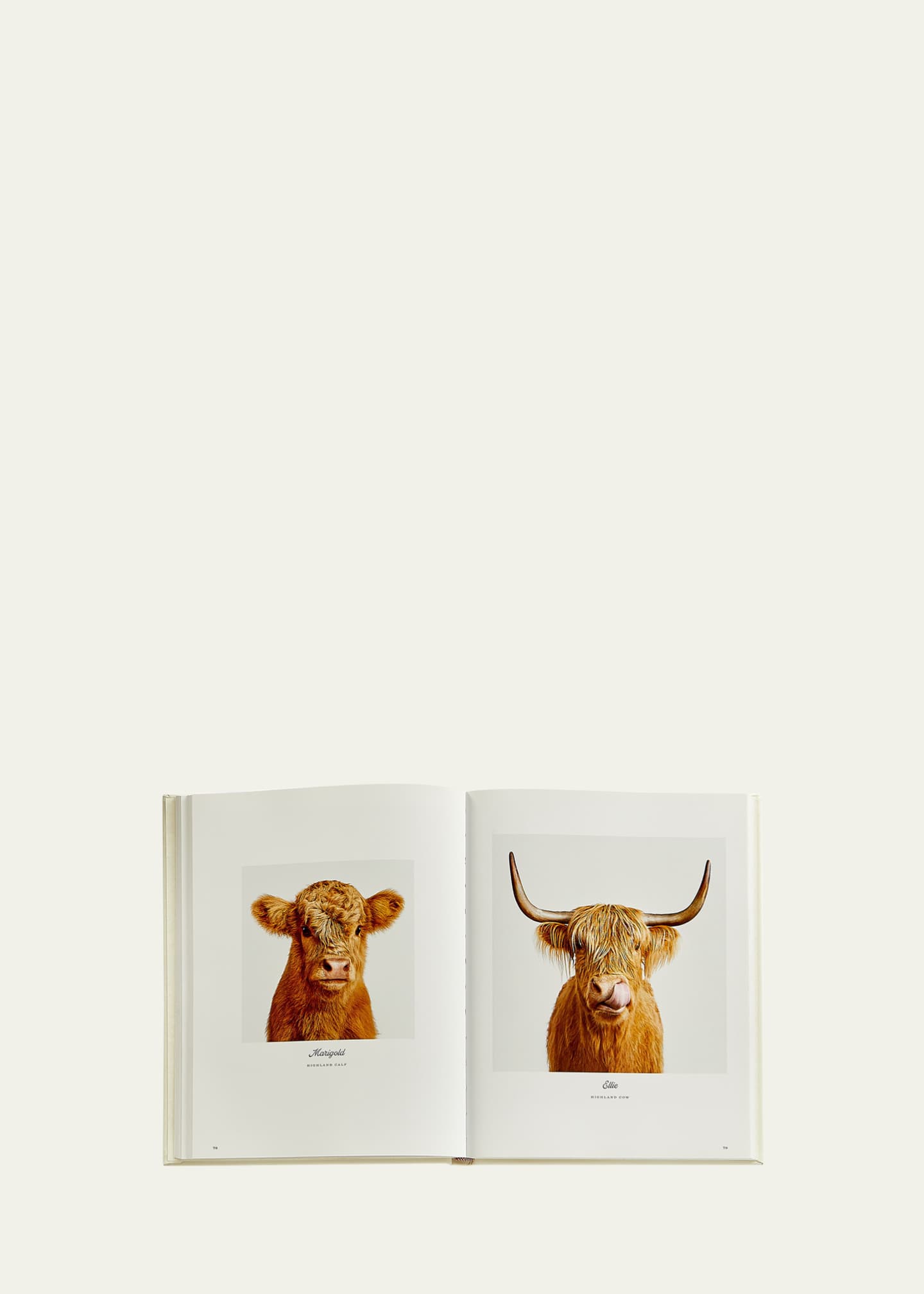 Graphic Image "Farm Life: A Collection of Animal Portraits" Leather ...