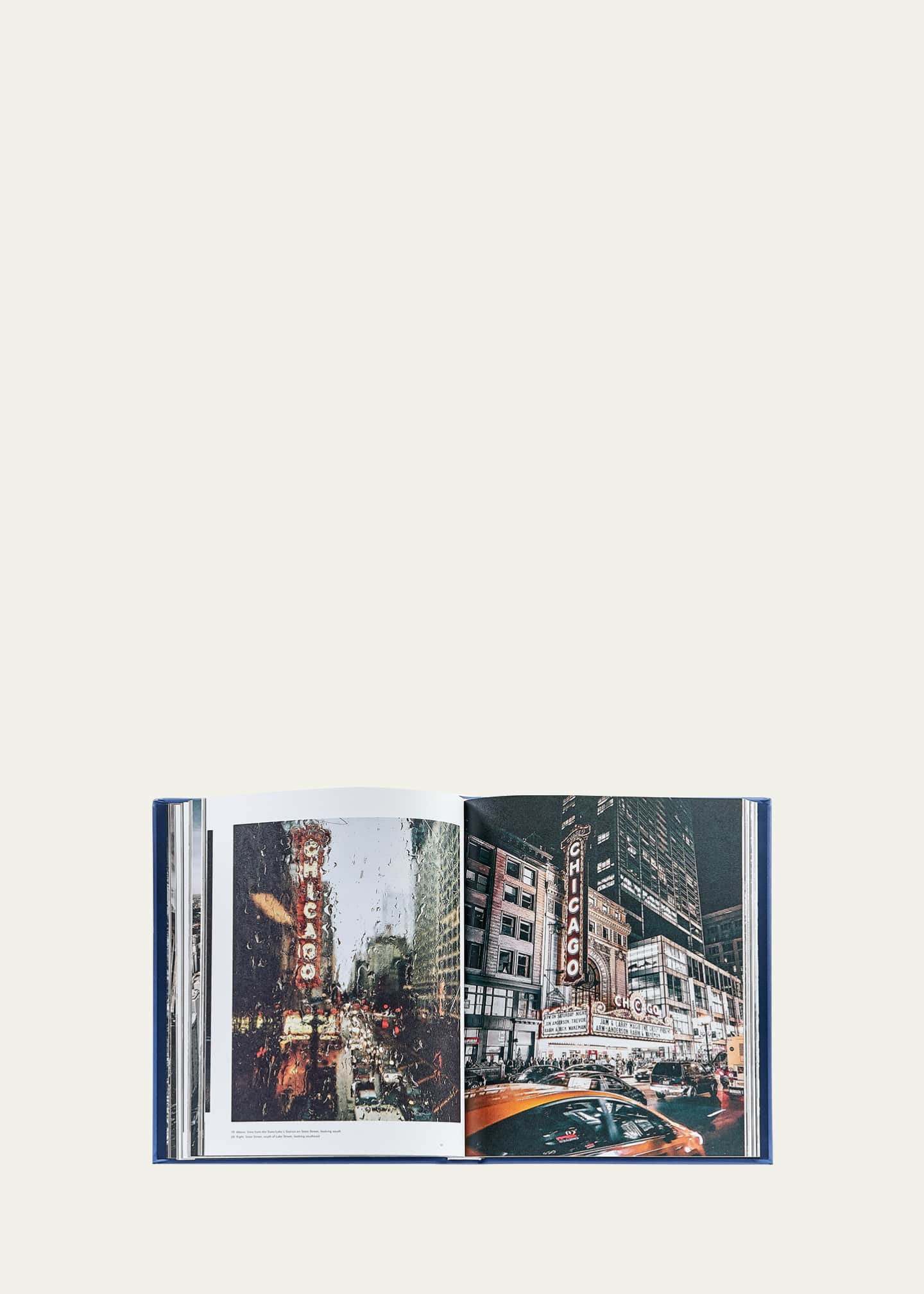 Graphic Image "Trope Chicago" Leather-Bound Book by Sam Landers & Tom ...