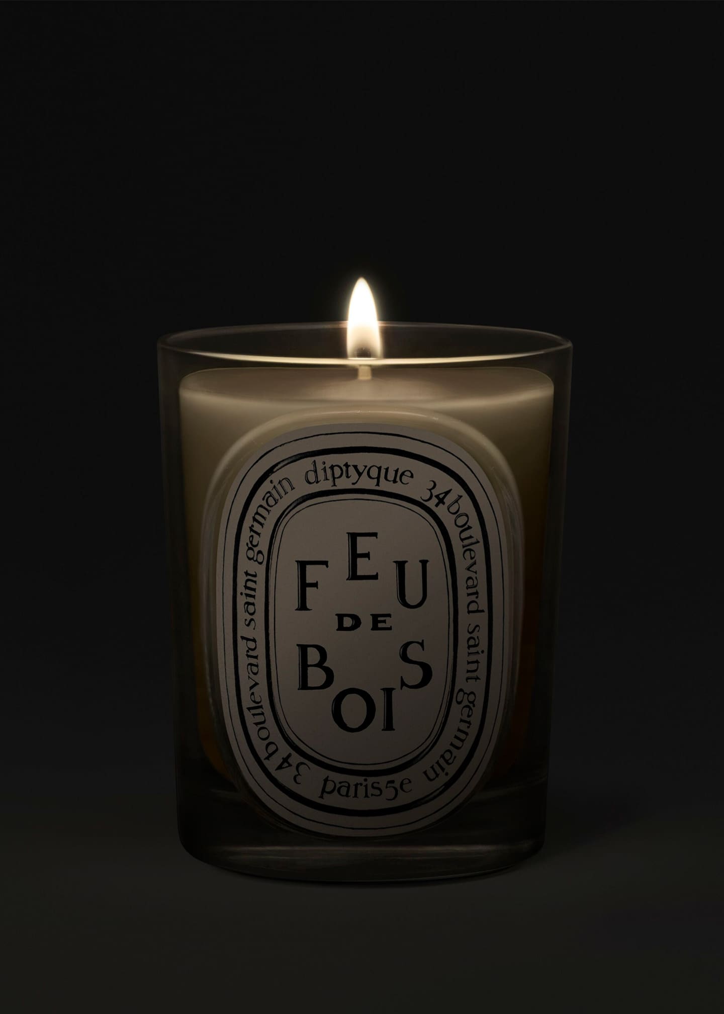 DIPTYQUE Feu de Bois (Wood Fire) Classic Candle, 6.7 oz. - Bergdorf Goodman