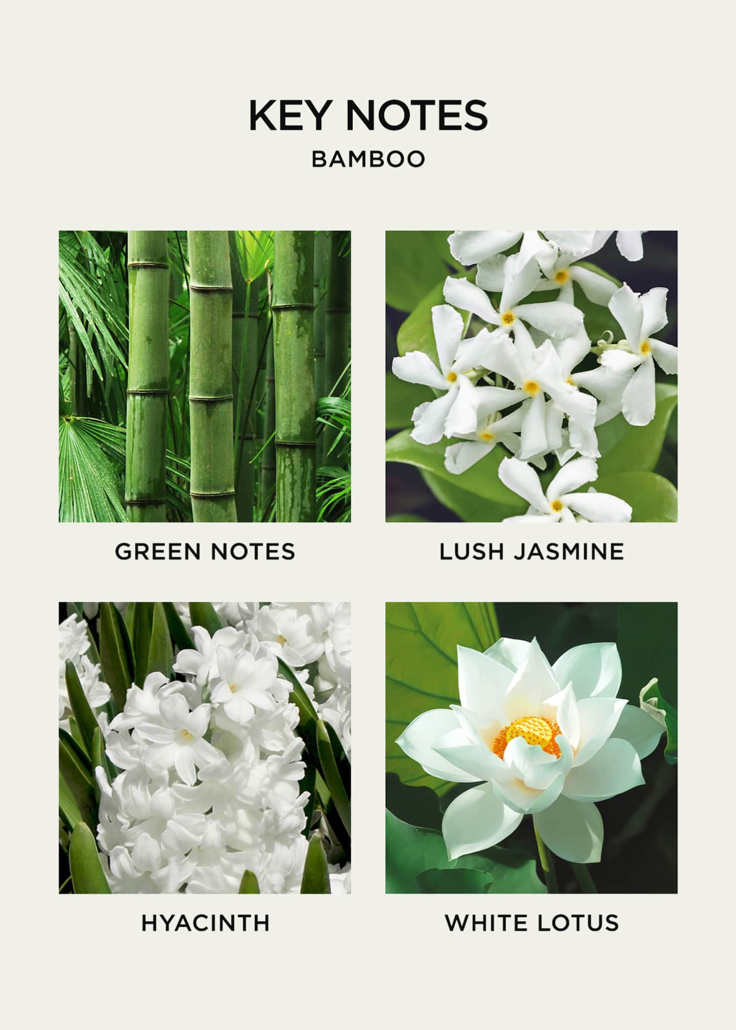 NEST New York Bamboo Liquid Soap, 10 oz. - Bergdorf Goodman