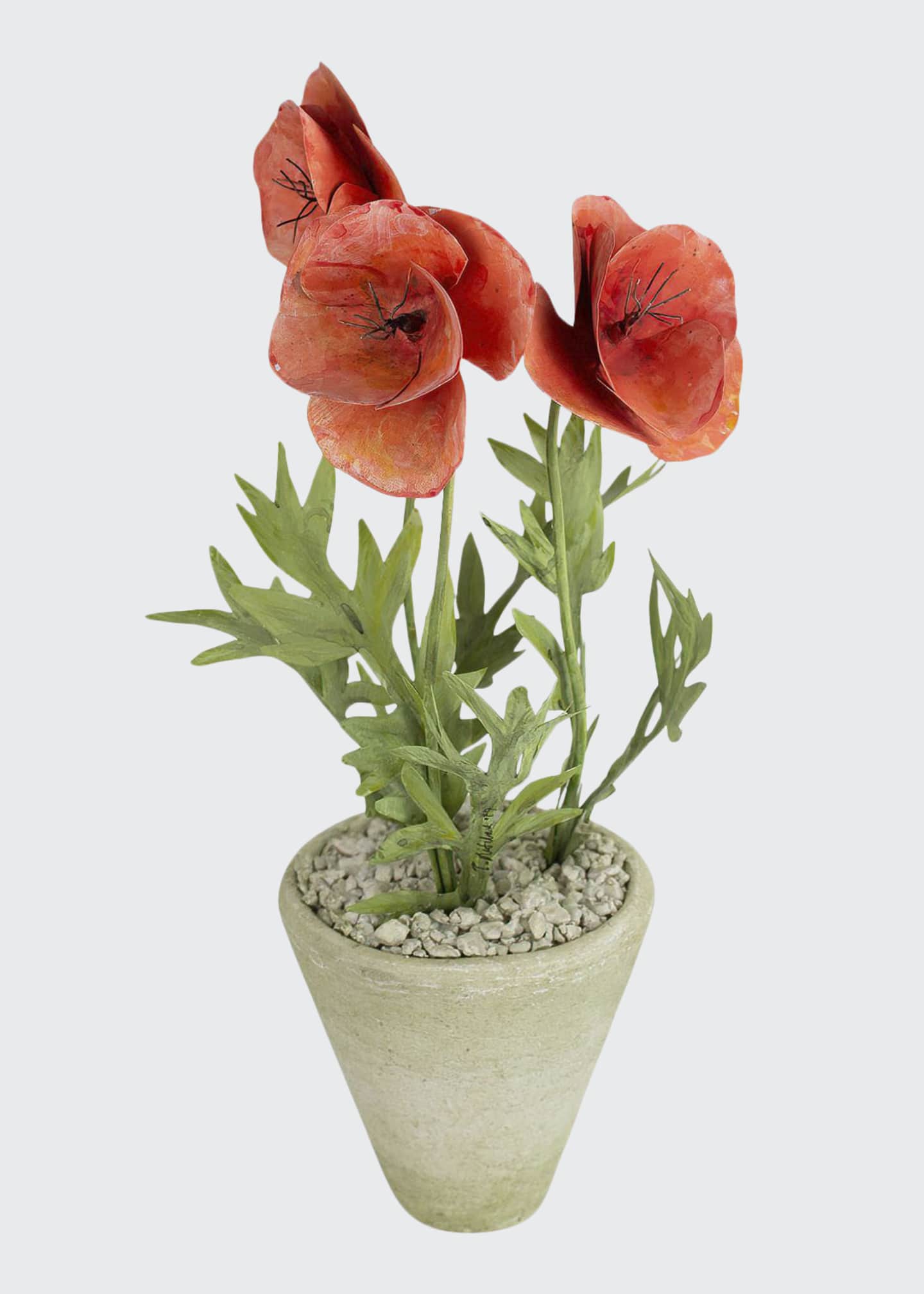 Tommy Mitchell Poppy August Birth Flower in White Terracotta Pot ...