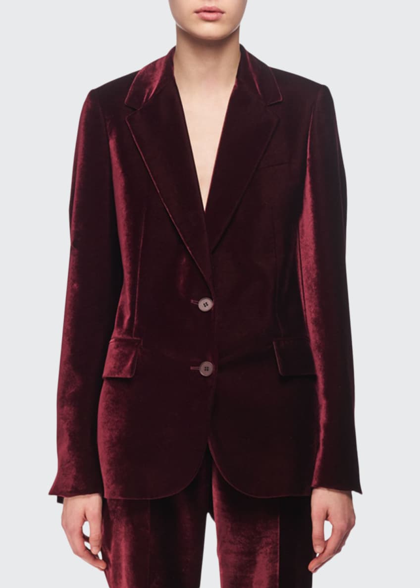 Stella McCartney Velvet Two-Button Blazer and Matching Items & Matching ...