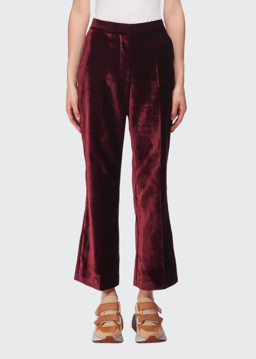 Stella McCartney Velvet Two-Button Blazer and Matching Items & Matching ...