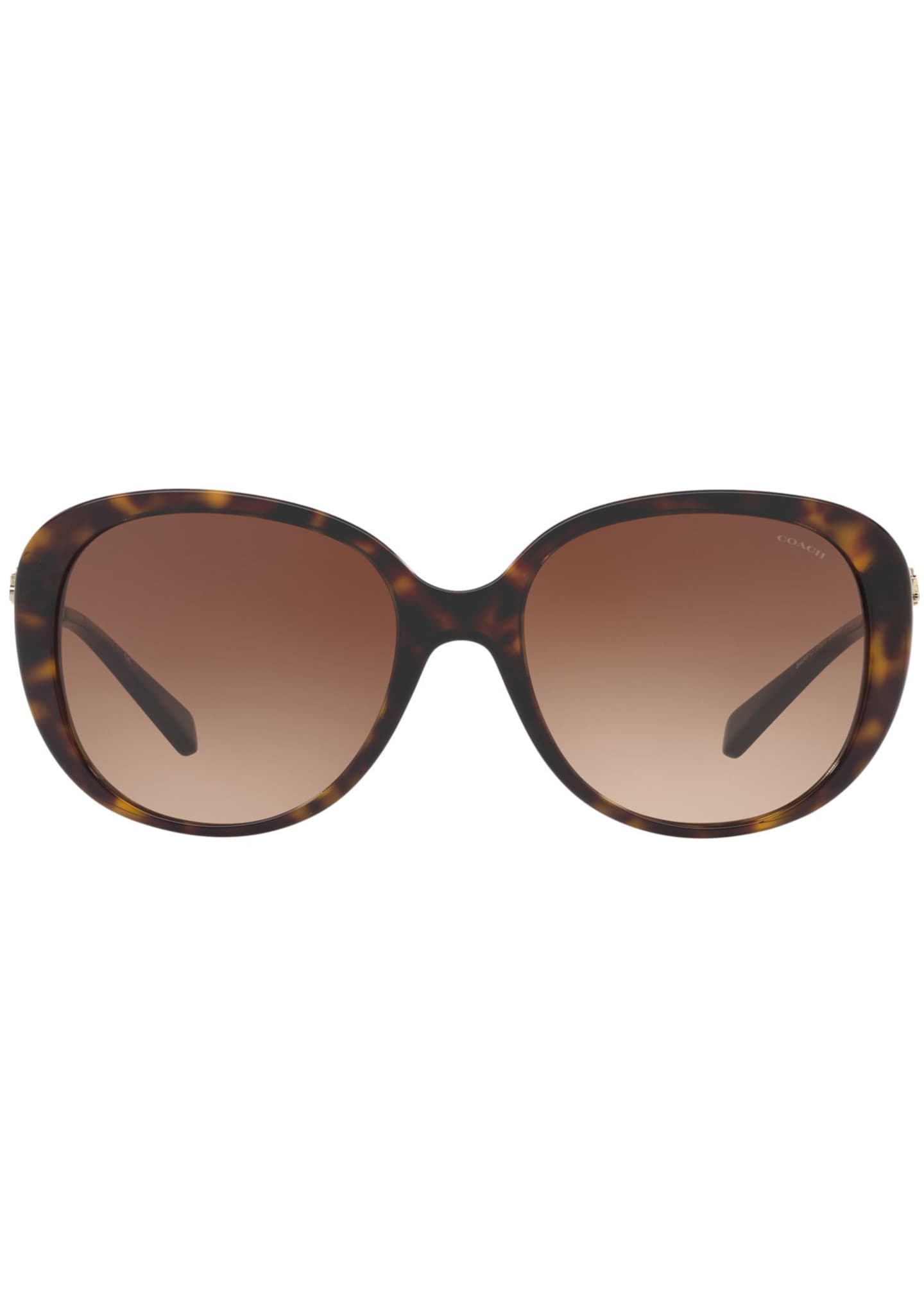 Coach Oval Acetate Sunglasses w/ 3D Stagecoach Detail - Bergdorf Goodman