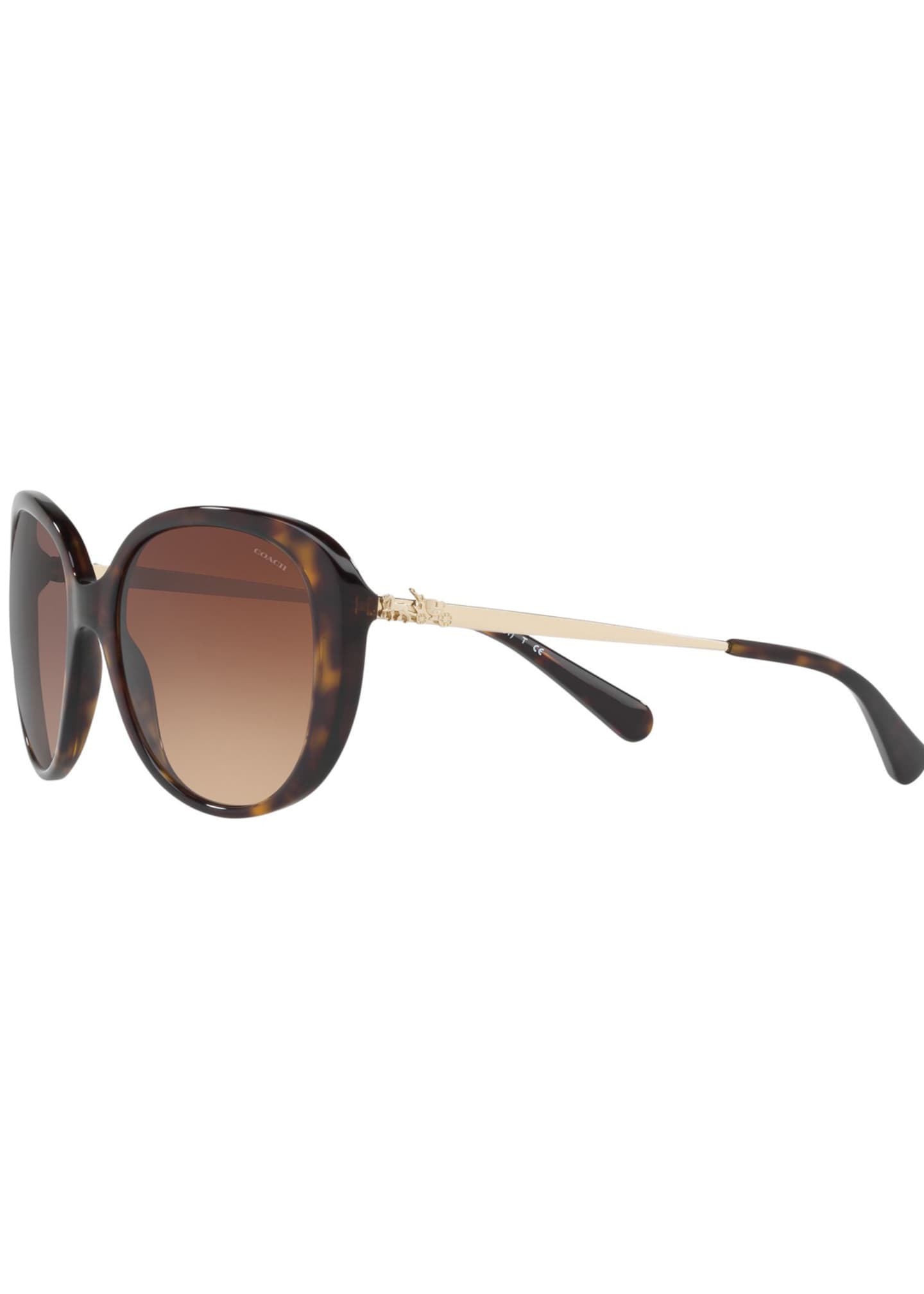 Coach Oval Acetate Sunglasses w/ 3D Stagecoach Detail - Bergdorf Goodman